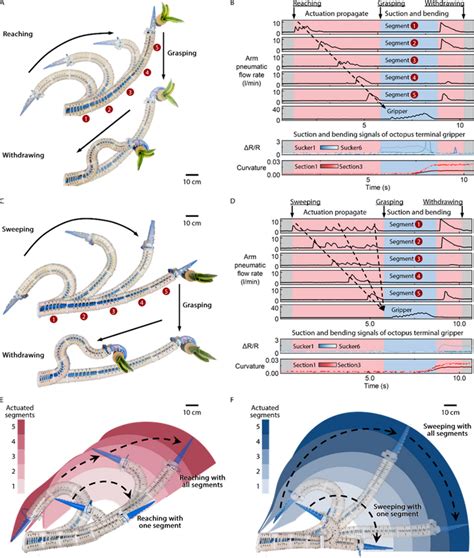 重磅！北航团队软体连续体机器人的感知及环境交互取得新进展 知乎