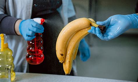 С «Фруктогелем овощи и фрукты смогут храниться намного дольше Техкульт