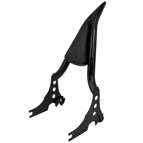 Sissy Bar Compatible Avec Harley Davidson Sportster Forty Eight 48 10