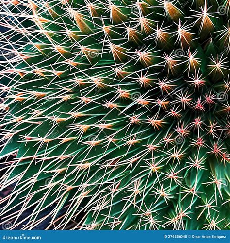 A Prickly And Spiky Texture With Cactus Needles And Thorny Vines1 Generative Ai Stock