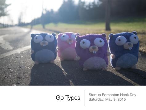 Go Types Speaker Deck