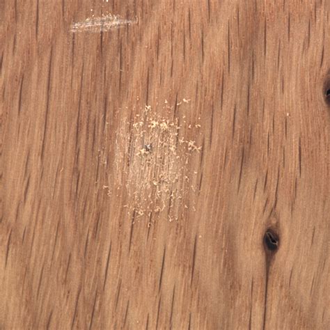 Halconmvtectwoodsegmentation Instance Segmentation Dataset By T3lab