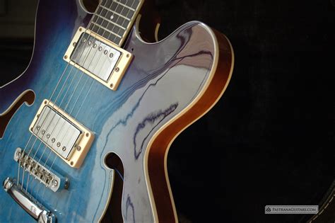 Samick 335 Pastrana Guitars