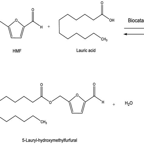 Enzymatic Esterification Of Hmf With Lauric Acid To Produce