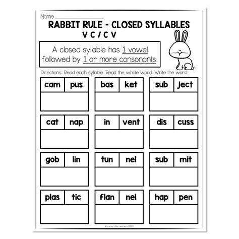 Syllables Is Rabbit At Maria Baum Blog