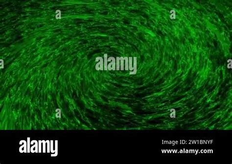 Abstract 3d Neon Swirl Animation Thick Swirl Of Swirling Neon Plasma