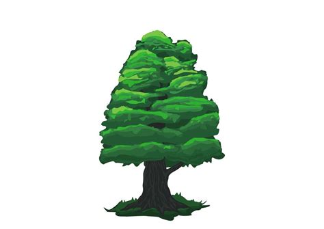 Yew Tree Vector Art Icons And Graphics For Free Download