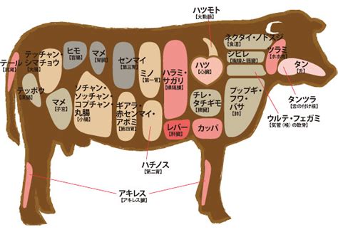 肉名称 牛肉 希少部位 一覧 Qdhn