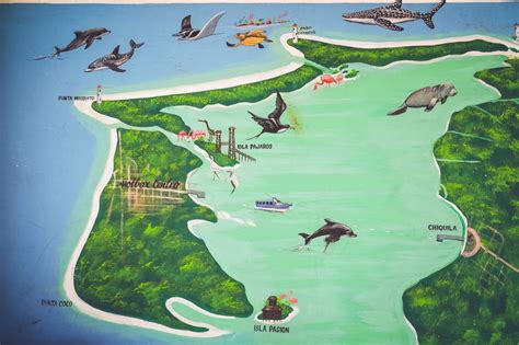 Reisjunk 6 Toffe Dingen Om Te Doen Op Isla Holbox In Mexico