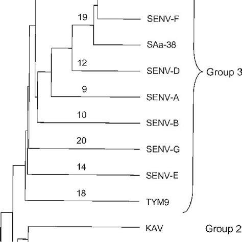 Phylogenetic Tree Inferred By Using The Upgma Method From Isolate 5 A