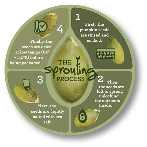 Semillas Yaxa Colombia