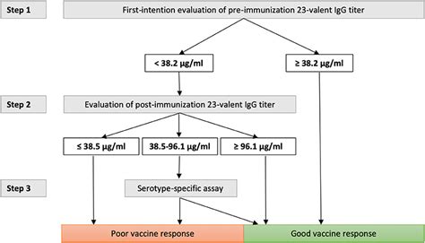 Frontiers Focusing On Good Responders To Pneumococcal Polysaccharide