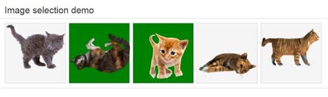 Making Your Items Selectable With Angular Multiple Selection Module Angular Script Making Your Items Selectable With Angular Multiple Selection Module Angular Script