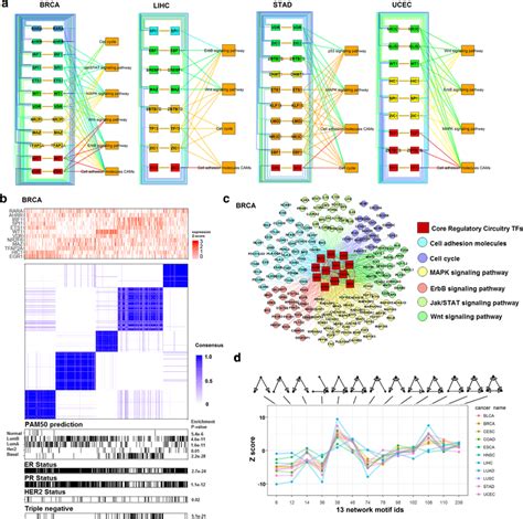 Tumor Subtype Core Regulatory Circuitry And Pan Cancer Global Topology