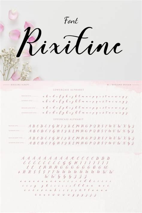 rixiline script modern font masterbundles