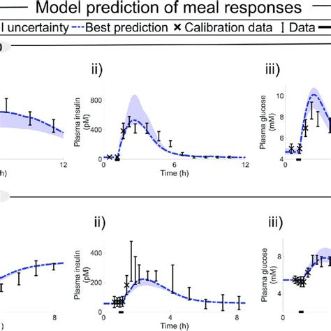 Second Validation Test With The Model Using Two Clinical Studies Not