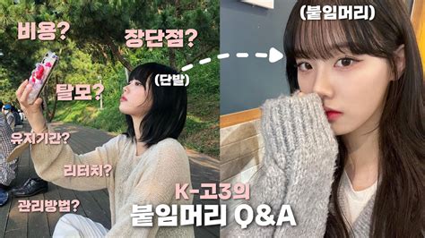 단발 ️장발🤍 붙임머리 Qanda 비용 탈모 장단점 리터치 유지기간 관리방법 Youtube