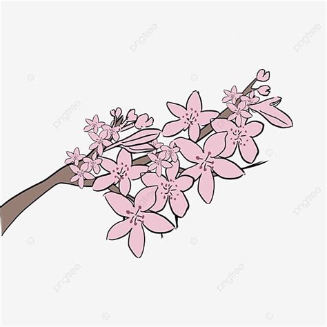 Cherry Blossom Cartoon Character At Celia Powell Blog