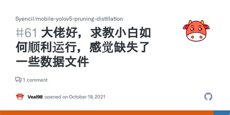 大佬好求教小白如何顺利运行感觉缺失了一些数据文件 Issue Syencil mobile yolov pruning distillation GitHub