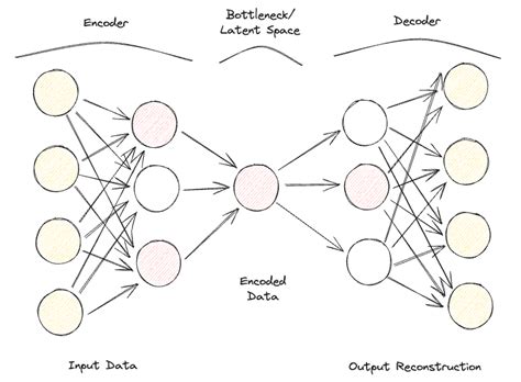 Introduction To Autoencoders From The Basics To Advanced Applications In PyTorch DataCamp