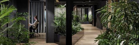 Danielle Wiseman On Linkedin Optimising Nutrition Management Of Hardwood Plantations For