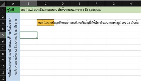 พื้นฐานของโปรแกรม Microsoft Excel ครูไอที