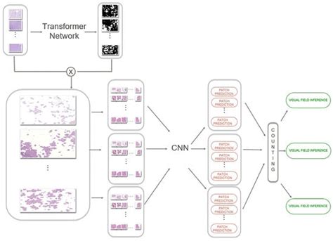 Convolutional Neural Networks In The Diagnosis Of Colon Adenocarcinoma