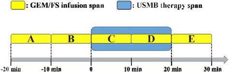 Treatment Procedure Flow Chart With Time Span Of Chemotherapy And Usmb