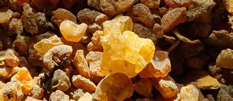 Plant Talk Myrrh Essential Oil Amygalper