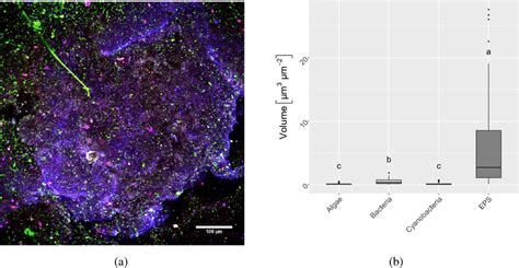 Floc Analysis Via Clsm With A A Representative Iron Organo Floc Download Scientific Diagram