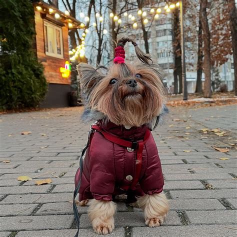 Kateryna Chernenko Kateryna Chernenko • Instagram Photos And Videos