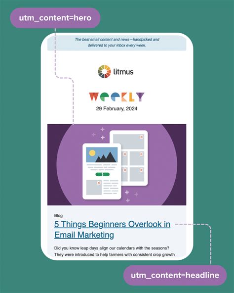 how to create a newsletter best practices and examples [guide] litmus