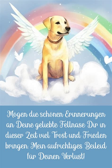 Mit Deinem Tattoo Ist Der Himmel Ein Ort Auf Erden