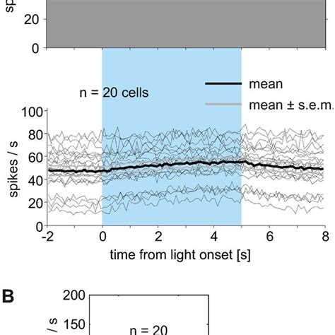 A Raster Plot Top And Peri Stimulus Time Histogram Psth Below