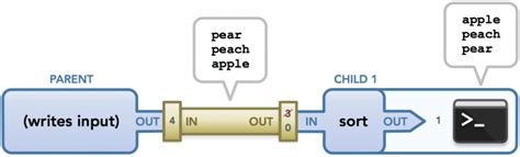 Pipes Forks And Dups Understanding Command Execution And Inputoutput Data Flow Rozmichelle