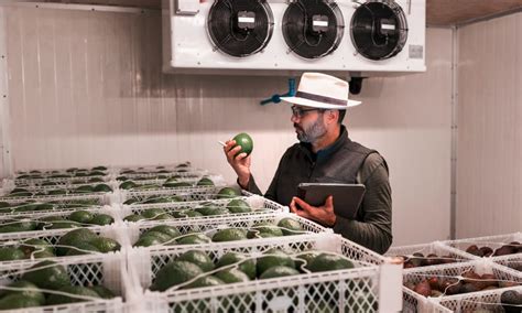 Explorethermax Temperature Indicators