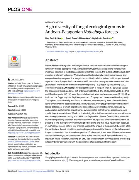 Pdf High Diversity Of Fungal Ecological Groups In Andean Patagonian