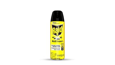 Raid® Multi Insect Killer Indoor And Outdoor Bug Killer Spray