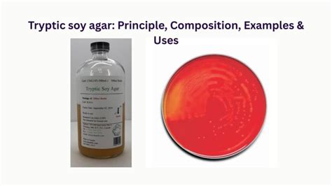 Tryptic Soy Agar Microbiology Notes