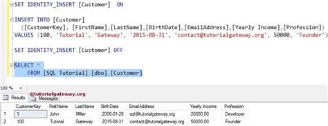 Sql Identity Insert Example