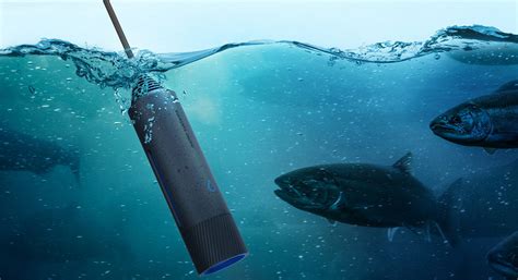 Dissolved Oxygen Sensor Testing Alicat Scientific