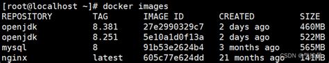 docker制作自定义版本的jdk镜像 docker jdk1 8镜像 csdn博客