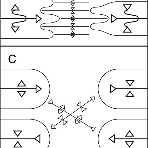 Compartment Like Folded Structure Folds Splitting And Crosswise