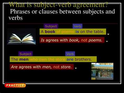 Ppt Using Subject Verb Agreement Powerpoint Presentation Free