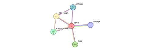 Tbcb Gene Genecards Tbcb Protein Tbcb Antibody