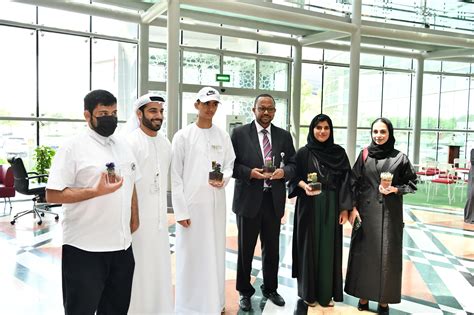 Rationalization Booklet Media Center Ministry Of Energy And