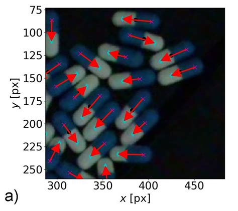 A Example Of The Detection Of Active Particles Red Arrows Show The