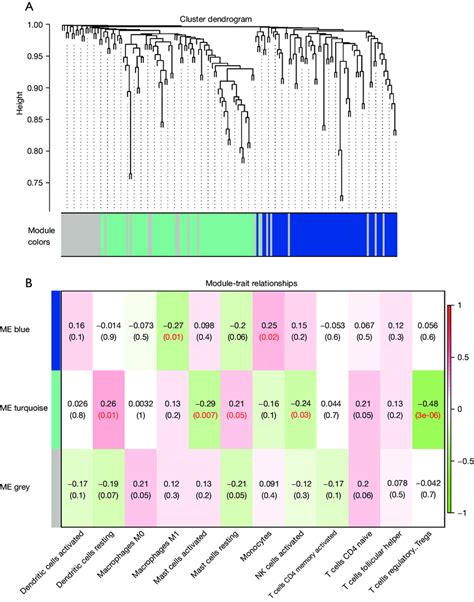 Wgcna Of The Detgs Of Mir 3648 A Two Modules And 37 Oligogenes Were