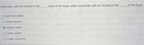 Solved Pacemaker Cells Are Located In The ﻿layer Of