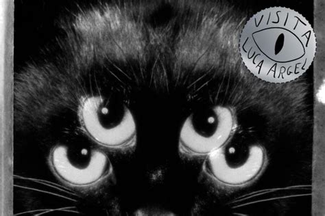 Luca Argel Releases New Album Visita Locomotiva Azul